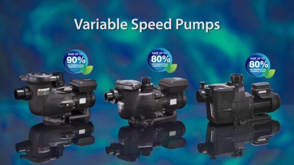 Variable Speed Vs Single Speed Pool Pumps: Guide | 1 Pool Care