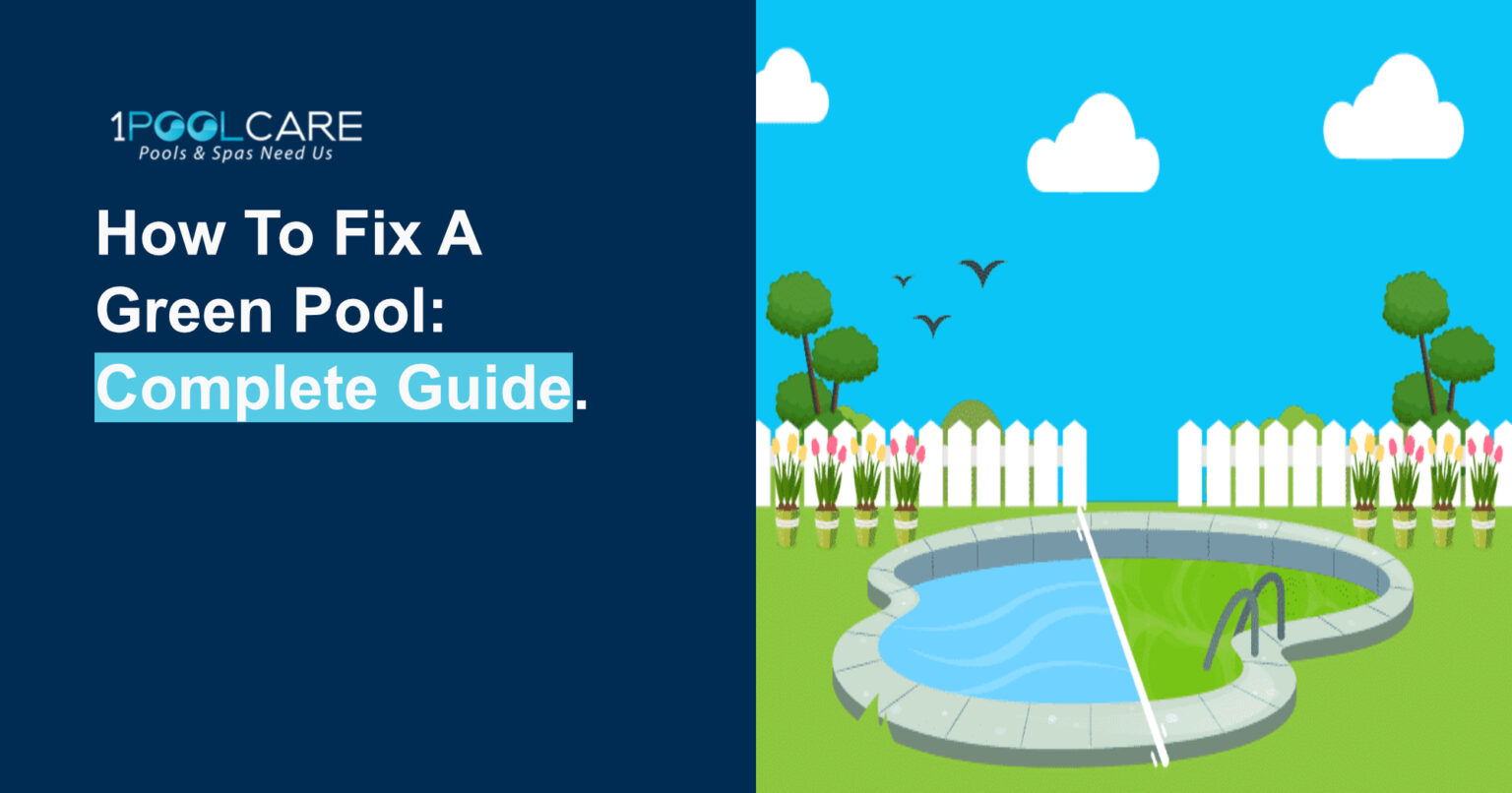 How To Fix A Green Pool – A Complete Guide | 1poolcare