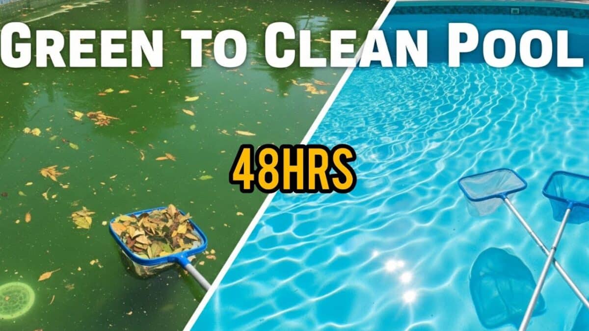 How To Fix A Green Pool Fast | 1 Pool Care